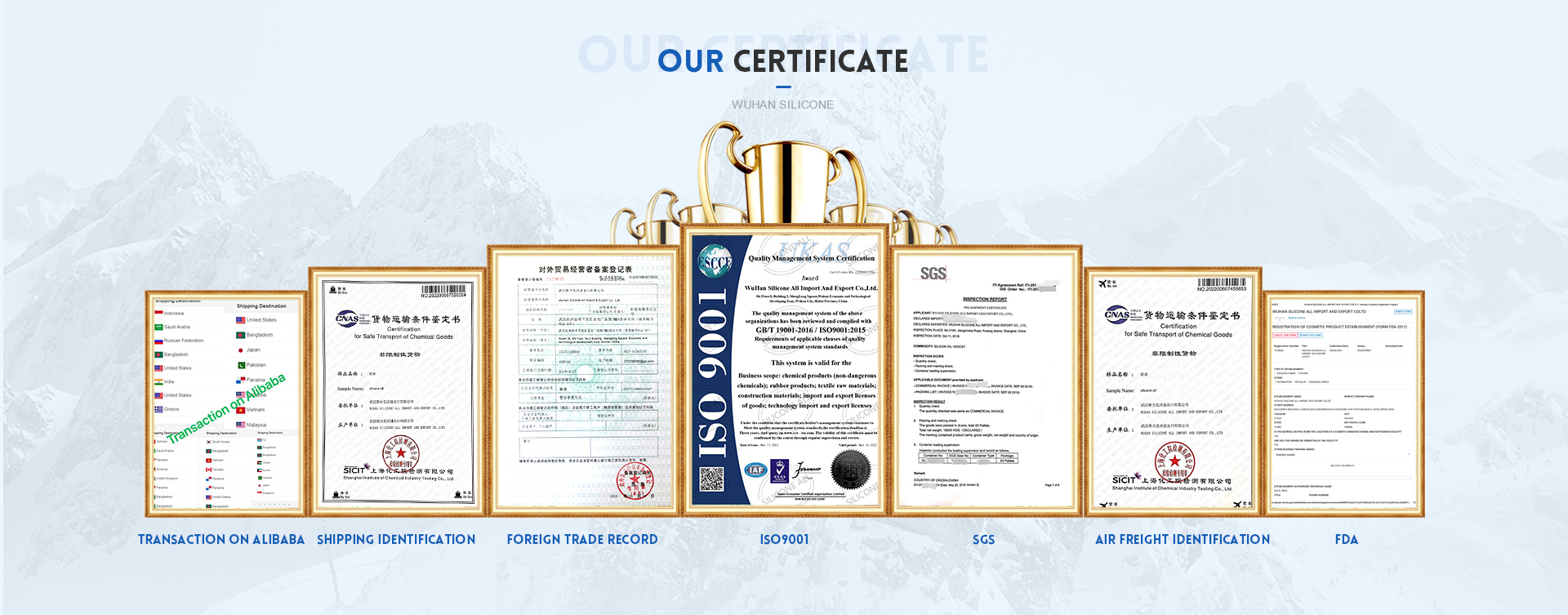 Silicone Hydroxy Terminated Polydimethylsiloxane Silicone Oil Cas No ...